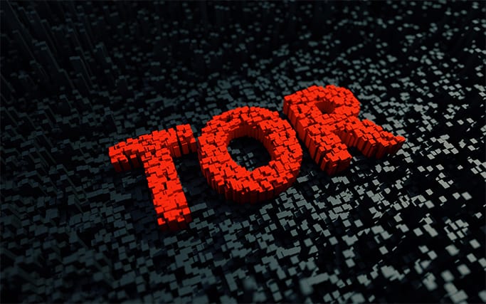 The Complete Guide on How Does Tor Work (2021)